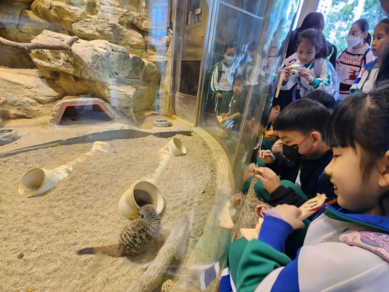 5562e16d-5331-482d-913c-59ed0ab53f28